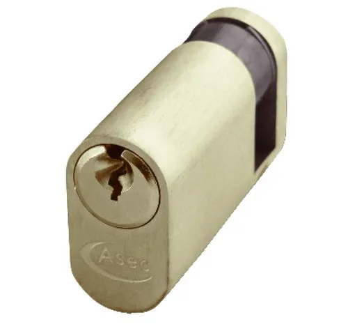 ASEC 6-Pin Oval Half Cylinder - 1 Bitted | Smart Security